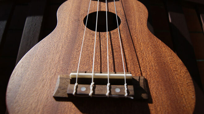 Ukulele – landsberg music school